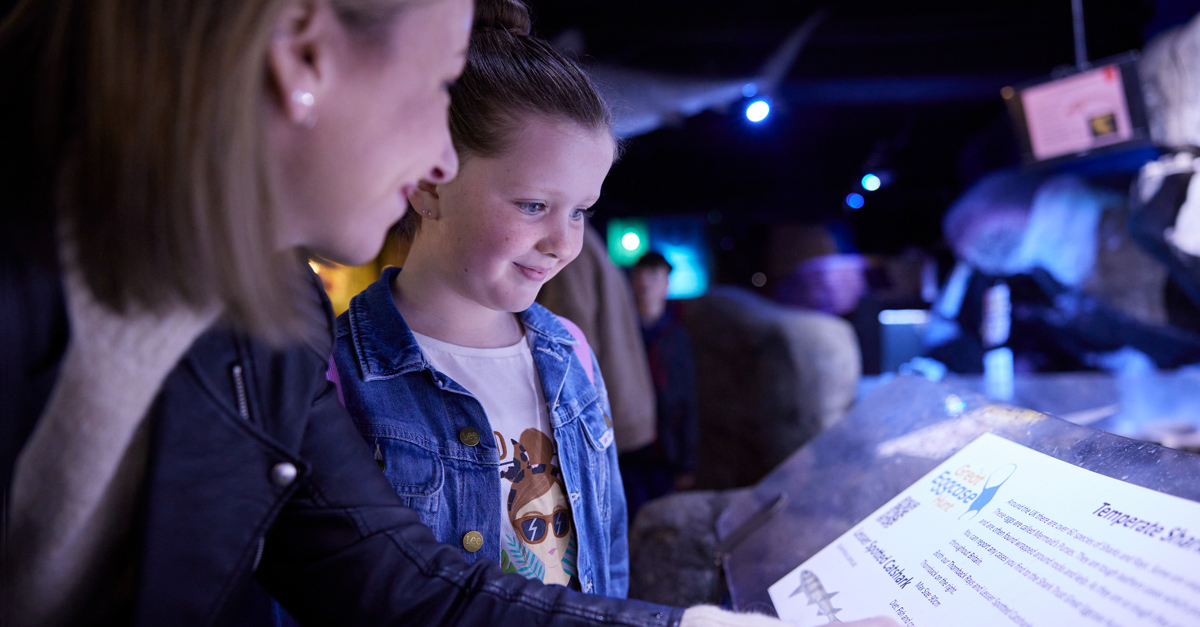 Deep Sea World Aquarium