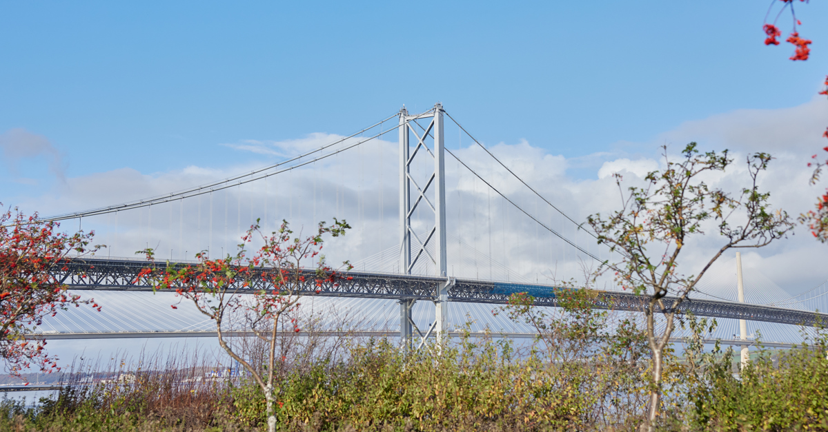 Forth Road Bridge Construction Gallery