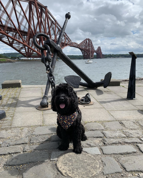 Forth Bridges Itineraries