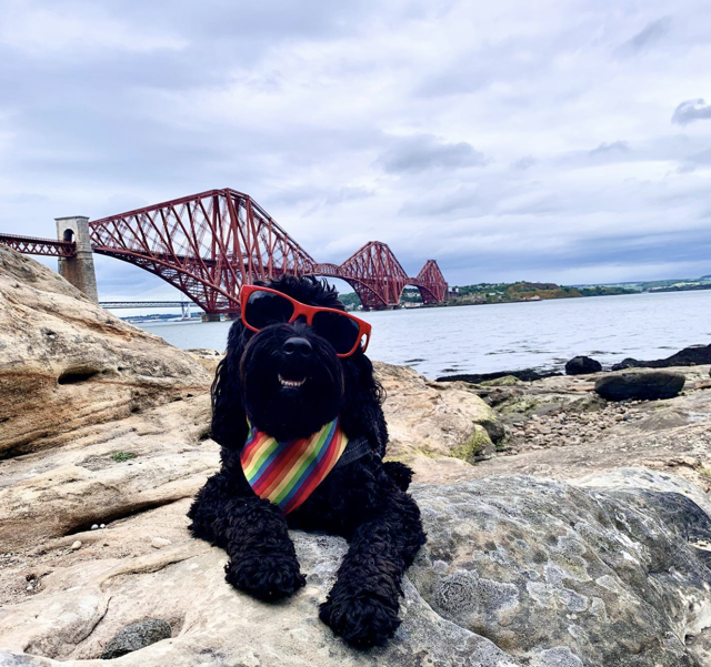 The Forth Bridges
