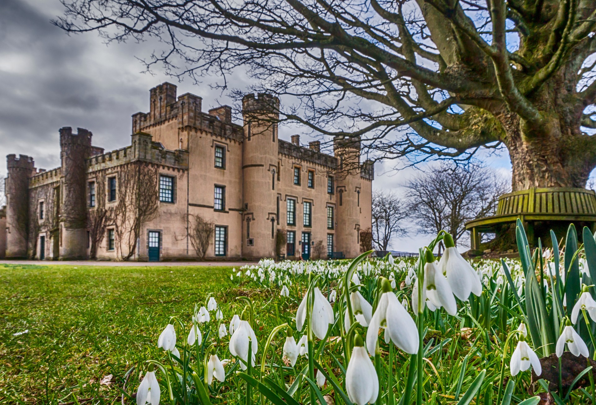House of the Binns