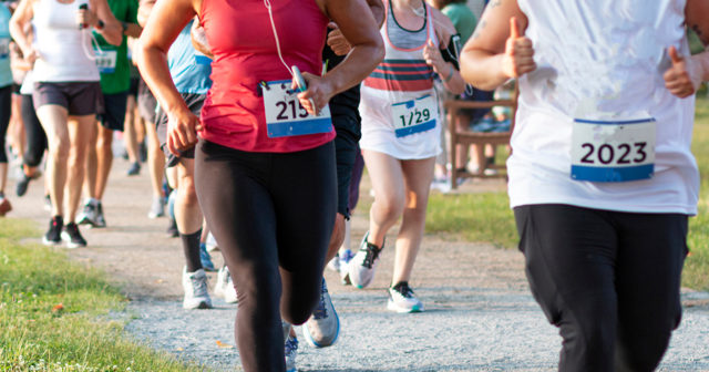 Ferry Fair Festival